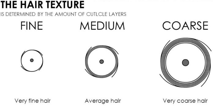 What Type of Hair Do I Have: 6 Best Ways to Determine an Individual’s ...