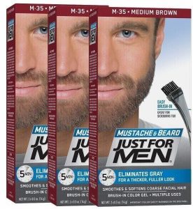10 Best Just For Men Beard Dye Products - AtoZ Hairstyles